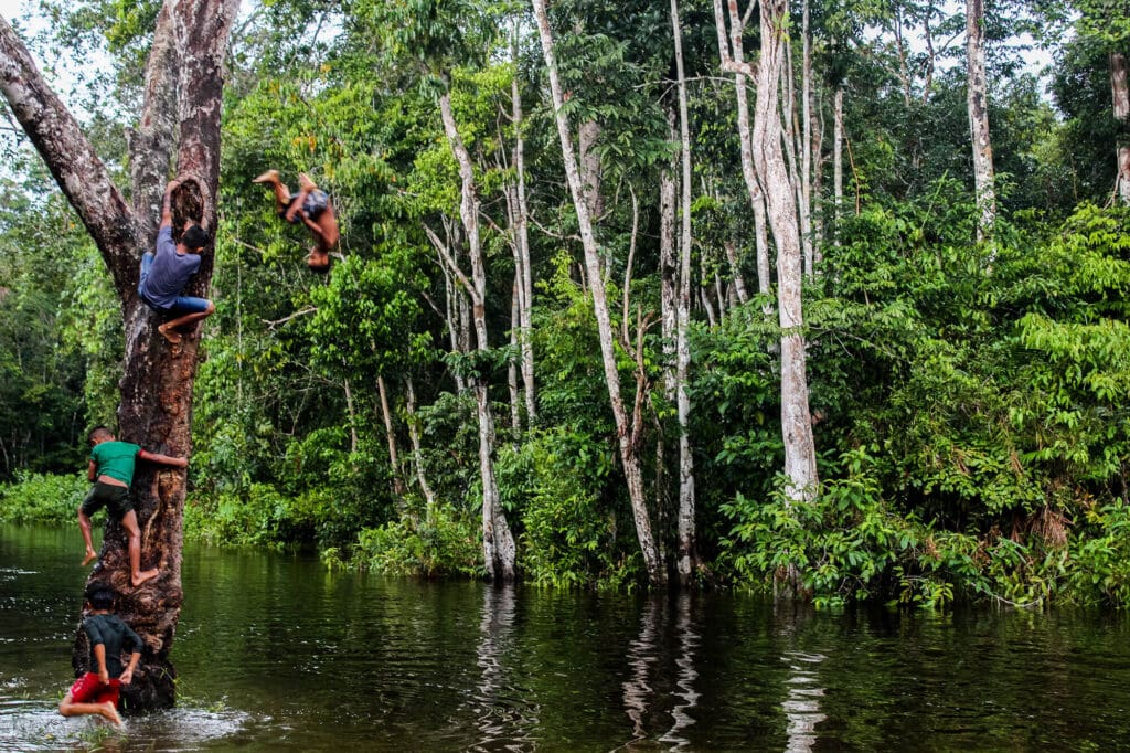 Forests, People, Climate